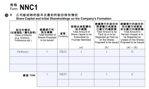 NNC1 Form - How to DIY Company Setup
